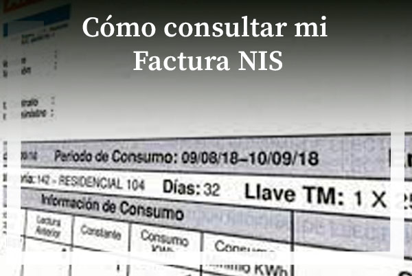 Cómo consultar mi Factura NIS